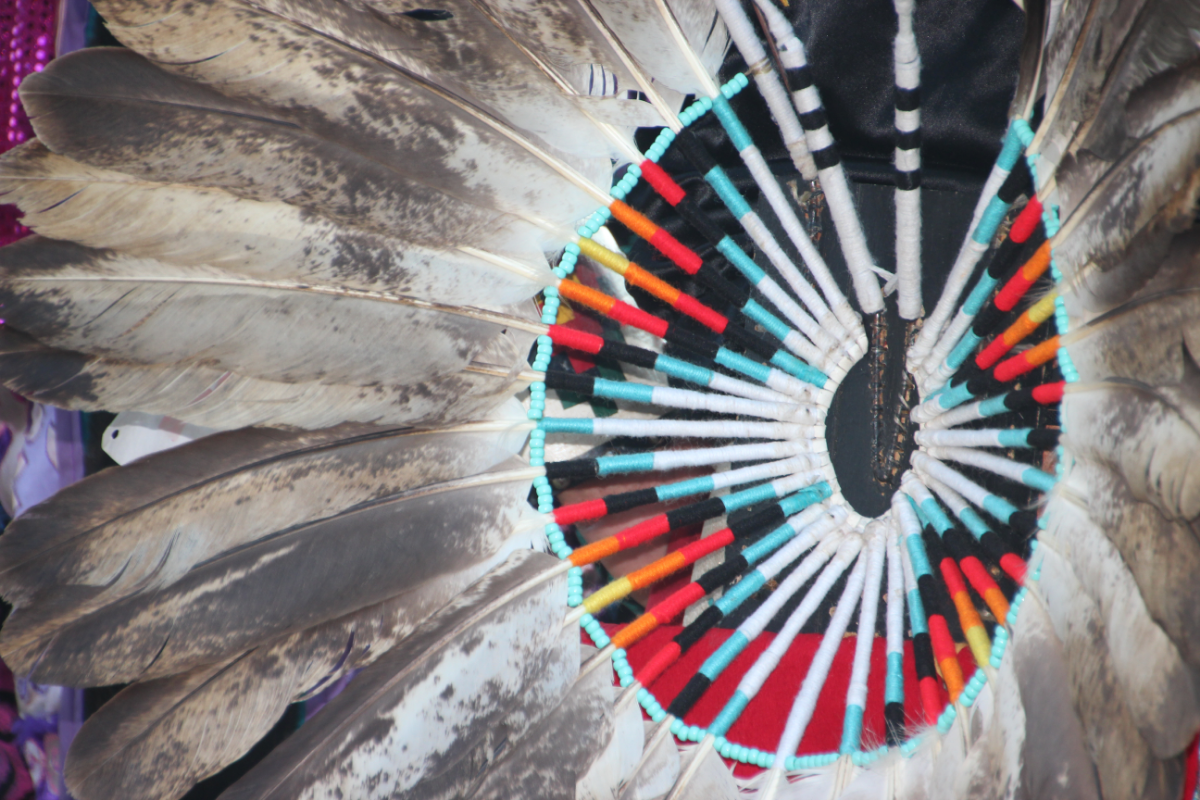 Honouring Indigenous Peoples Month - Living Skies Regional Council